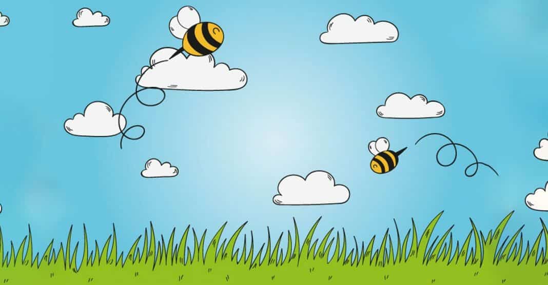 Ujedi insekata - Koja reakcija nastaje kada dođe do ujeda insekta?